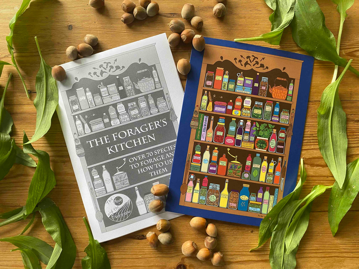 Cards with guides – The Moon and the Furrow